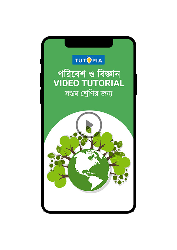 Tutopia Class 7 EVS Videos – Learn Nature with Joy